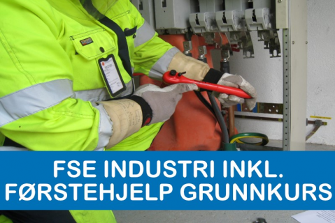FSE Industri - Lavspenning